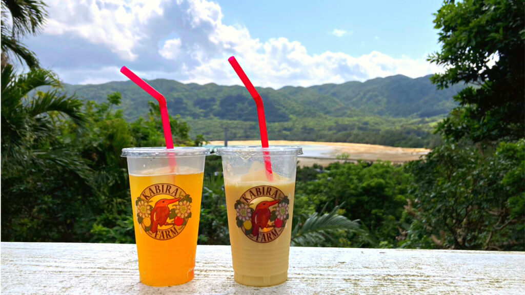 石垣島は車がなくても楽しめる！路線バス＆電動キックボード旅モデルコース『川平湾編』 | バンナpark-LABO